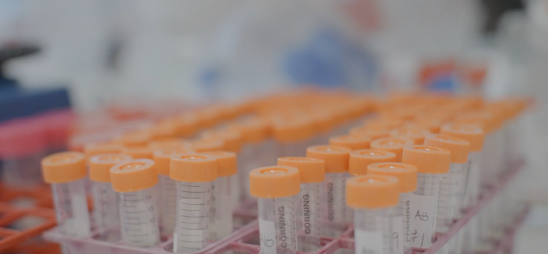 Sights set on the next big breakthrough – BioArctic